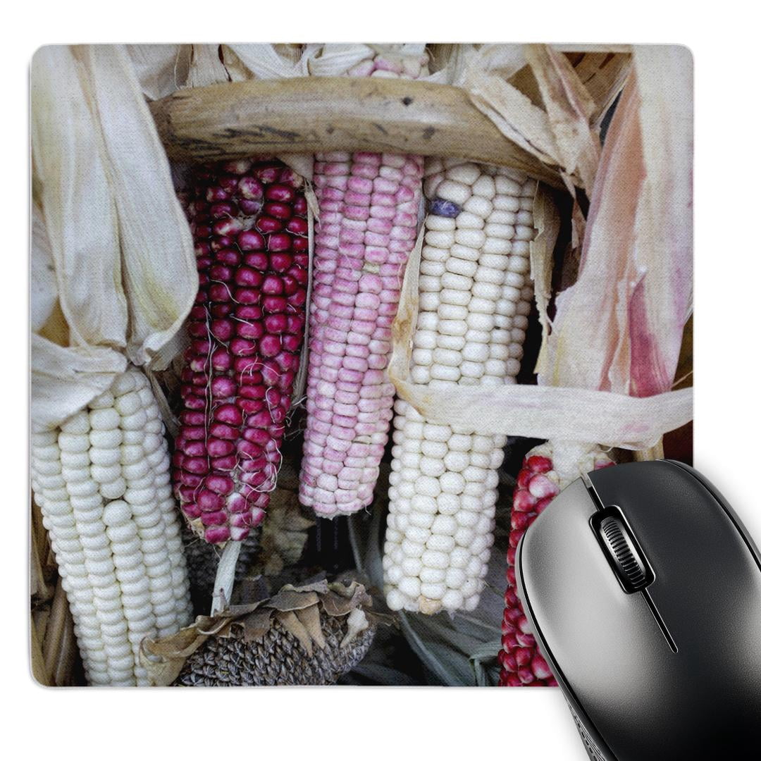 3dRose, Ornamental dried corn, Santa Fe, New Mexico - US32 JMR0878 ...