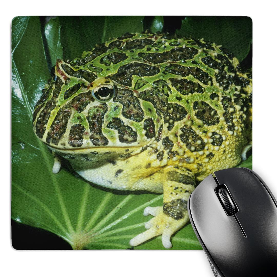 3dRose, Ornate Horned Frog, Brazil - SA04 KSC0013 - Kevin Schafer, Mouse Pad - Walmart.com