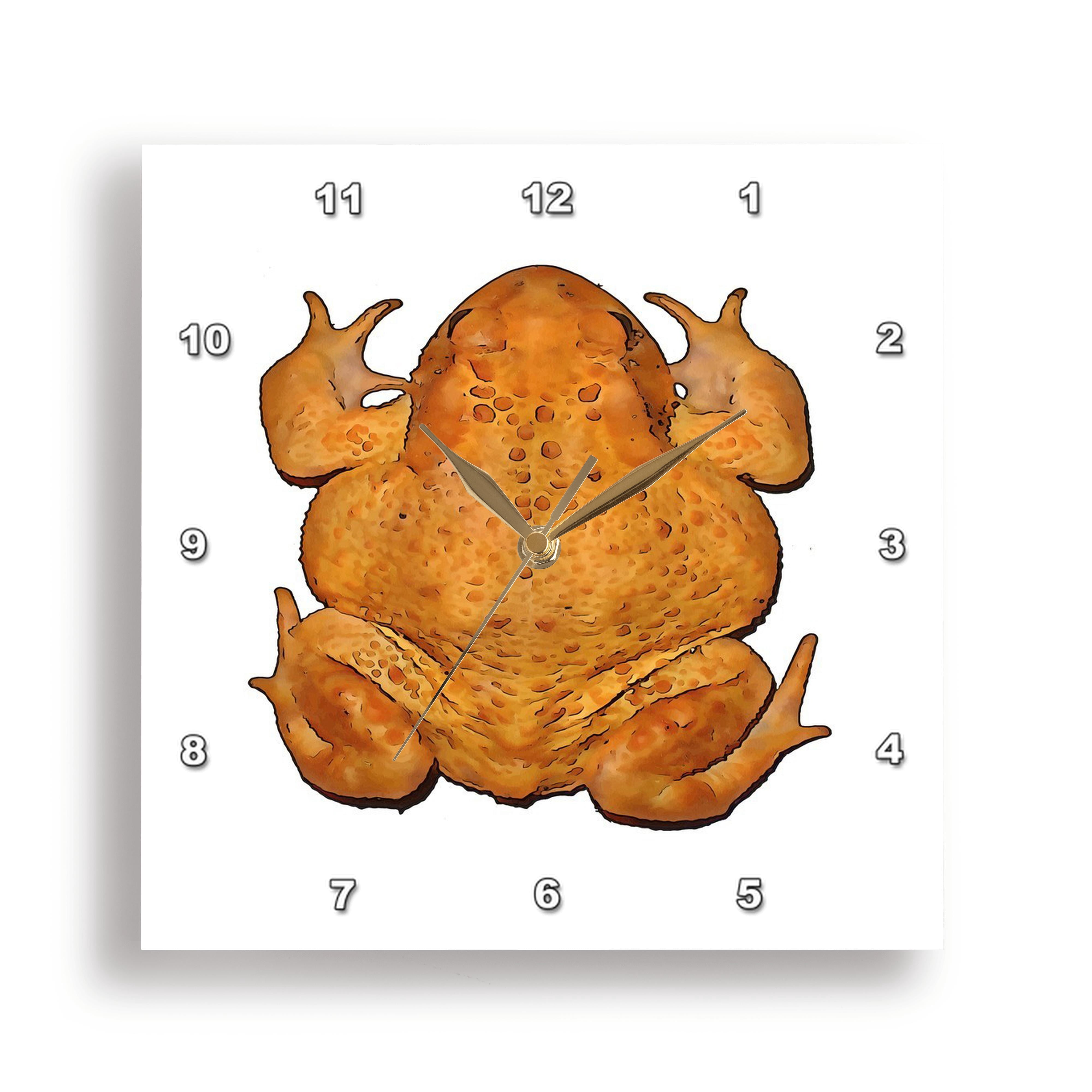 3dRose, Overhead Anatomy of A Toad From Above Black Outline Art, 13x13 ...
