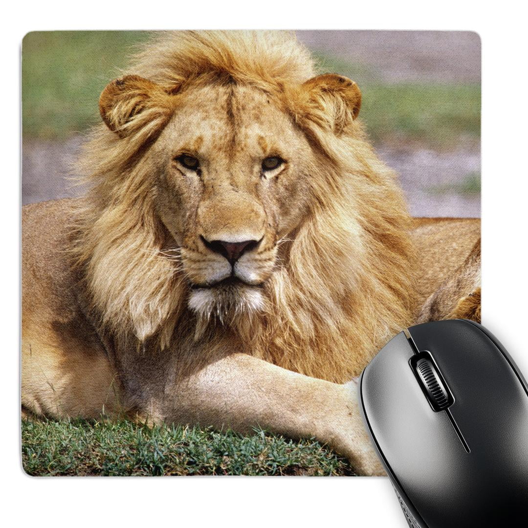 3dRose, Pair of African Lions, Tanzania Africa - NA02 DNO0327 - David Northcott, Mouse Pad ...