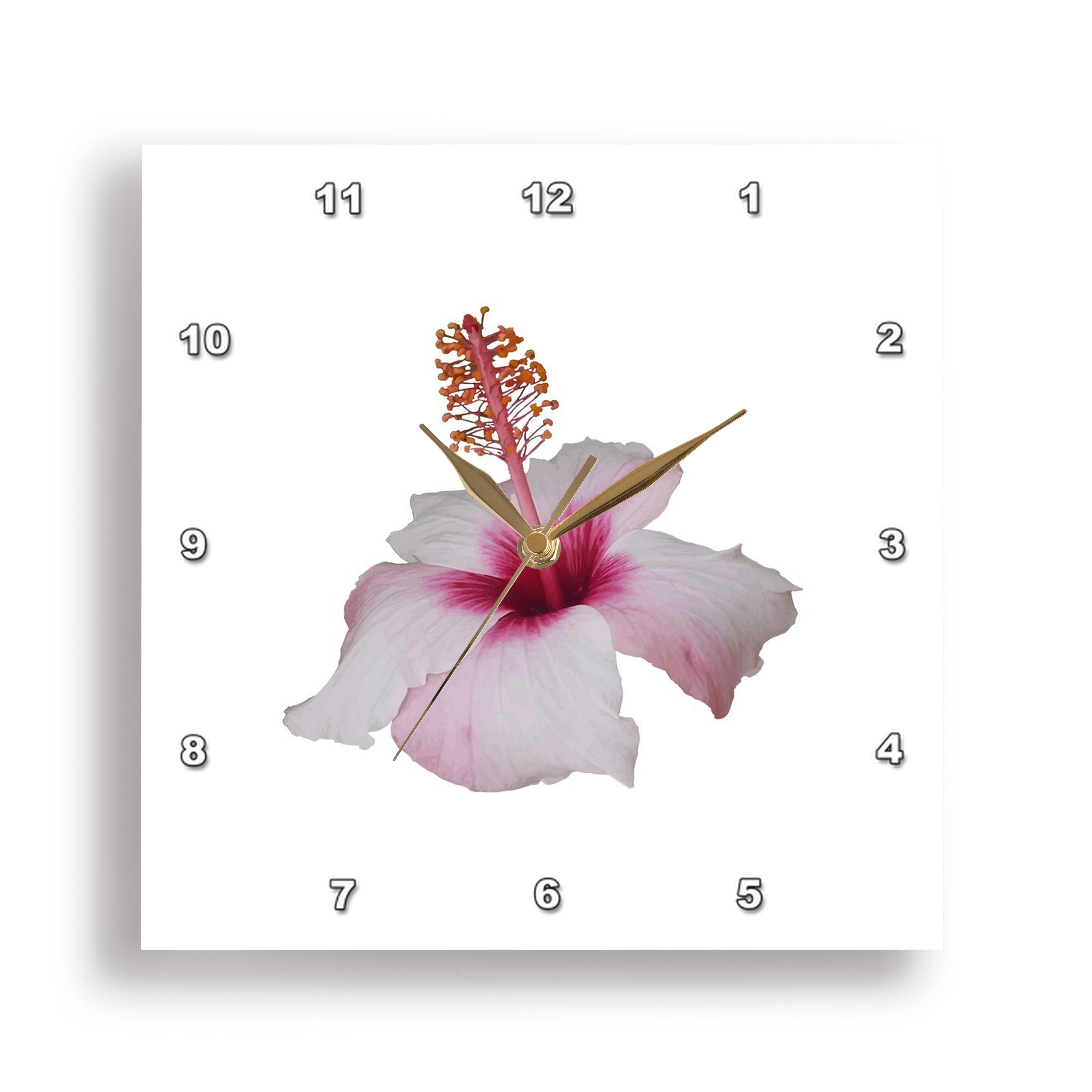 3dRose, Pale Pink Hibiscus Tropical Flower Cut Out , 15x15 Wall Clock ...