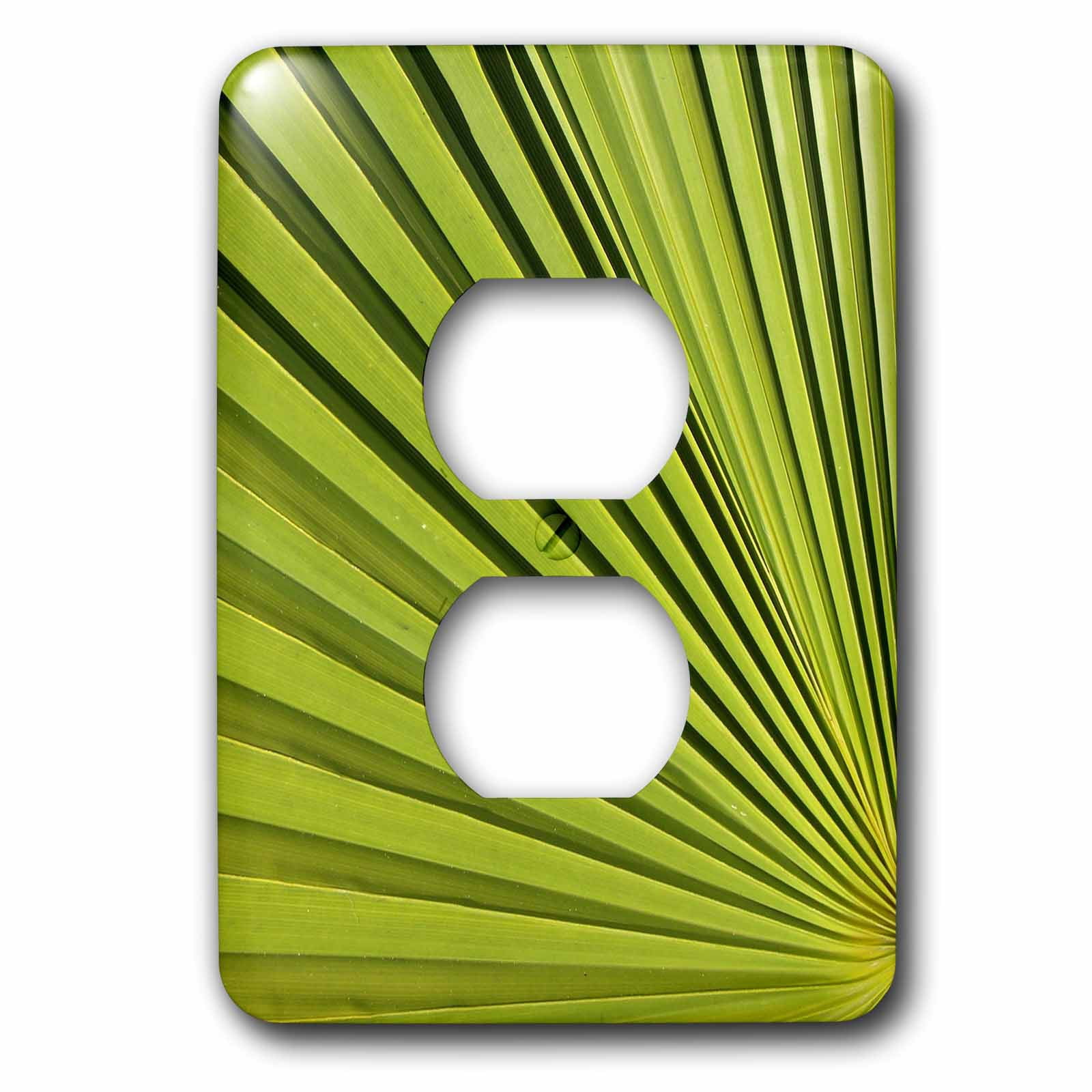 3dRose, Palm Frawns close up photography in nature of a palm tree frawn ...