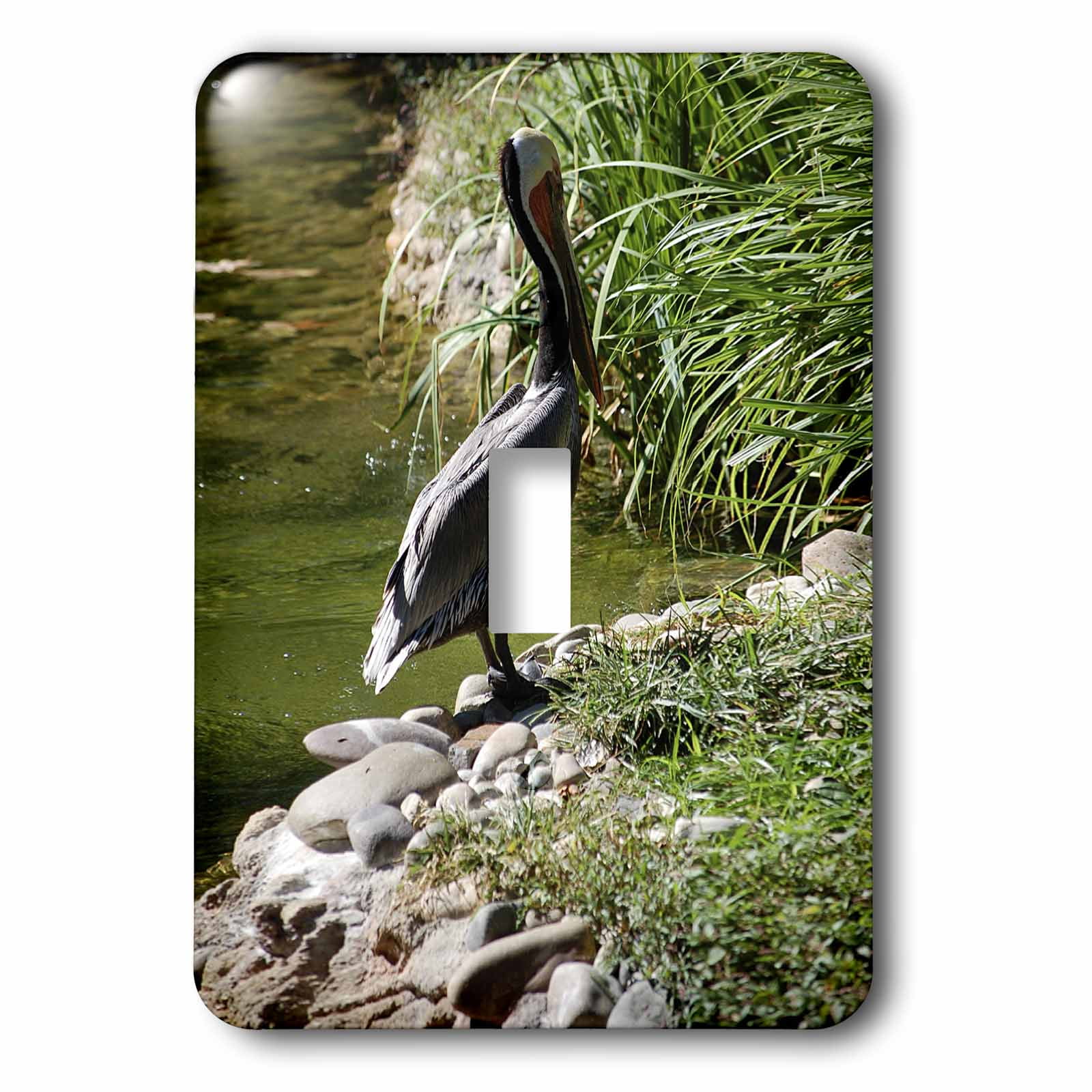 3dRose, Pelican, single toggle switch - Walmart.com