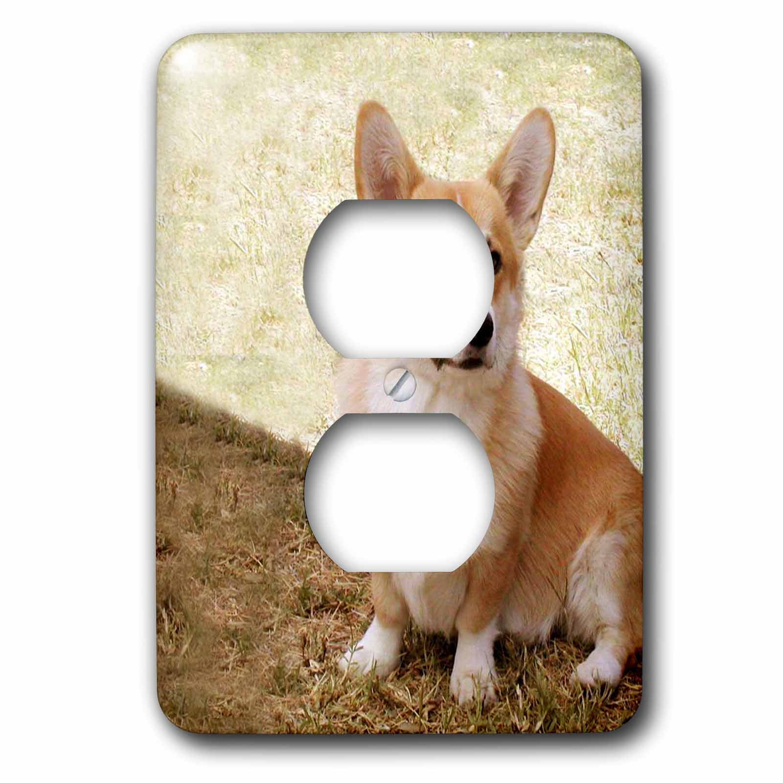 3dRose, Pembroke Welsh Corgi, 2 plug outlet cover - Walmart.com