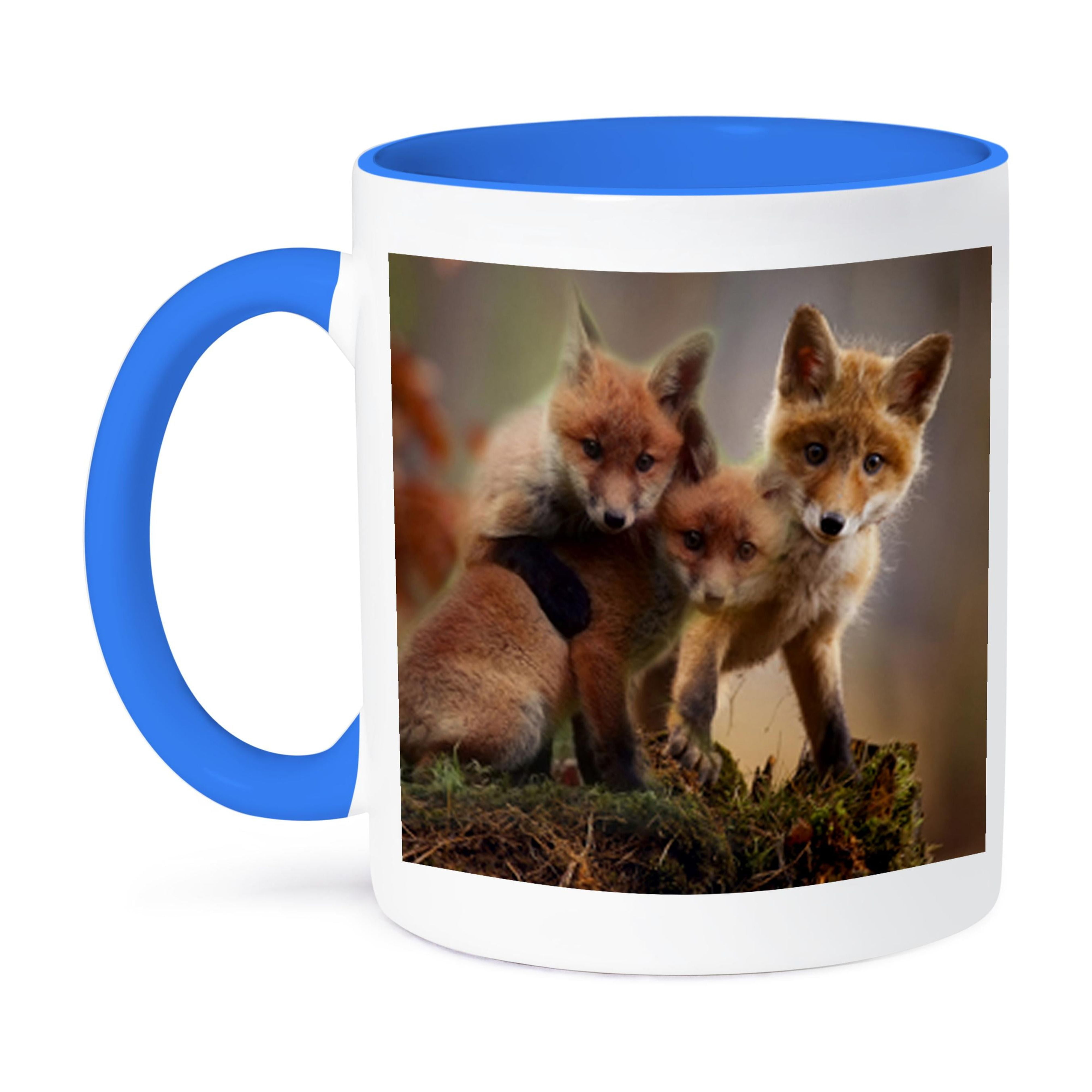 3dRose, Photography of Three Beautiful Foxes Fox on a Forest Background ...