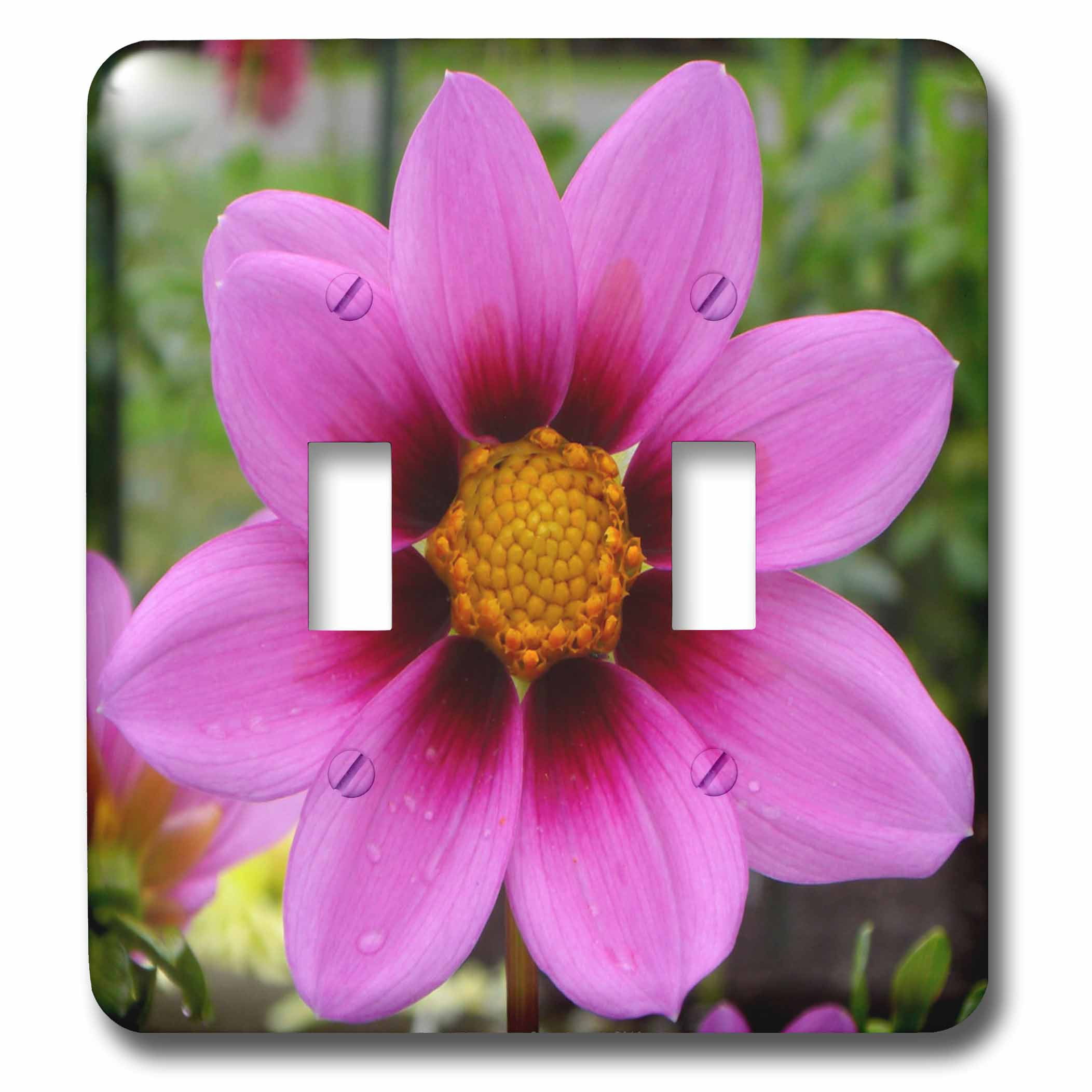 3dRose, Pink Cosmos Flower, double toggle switch - Walmart.com