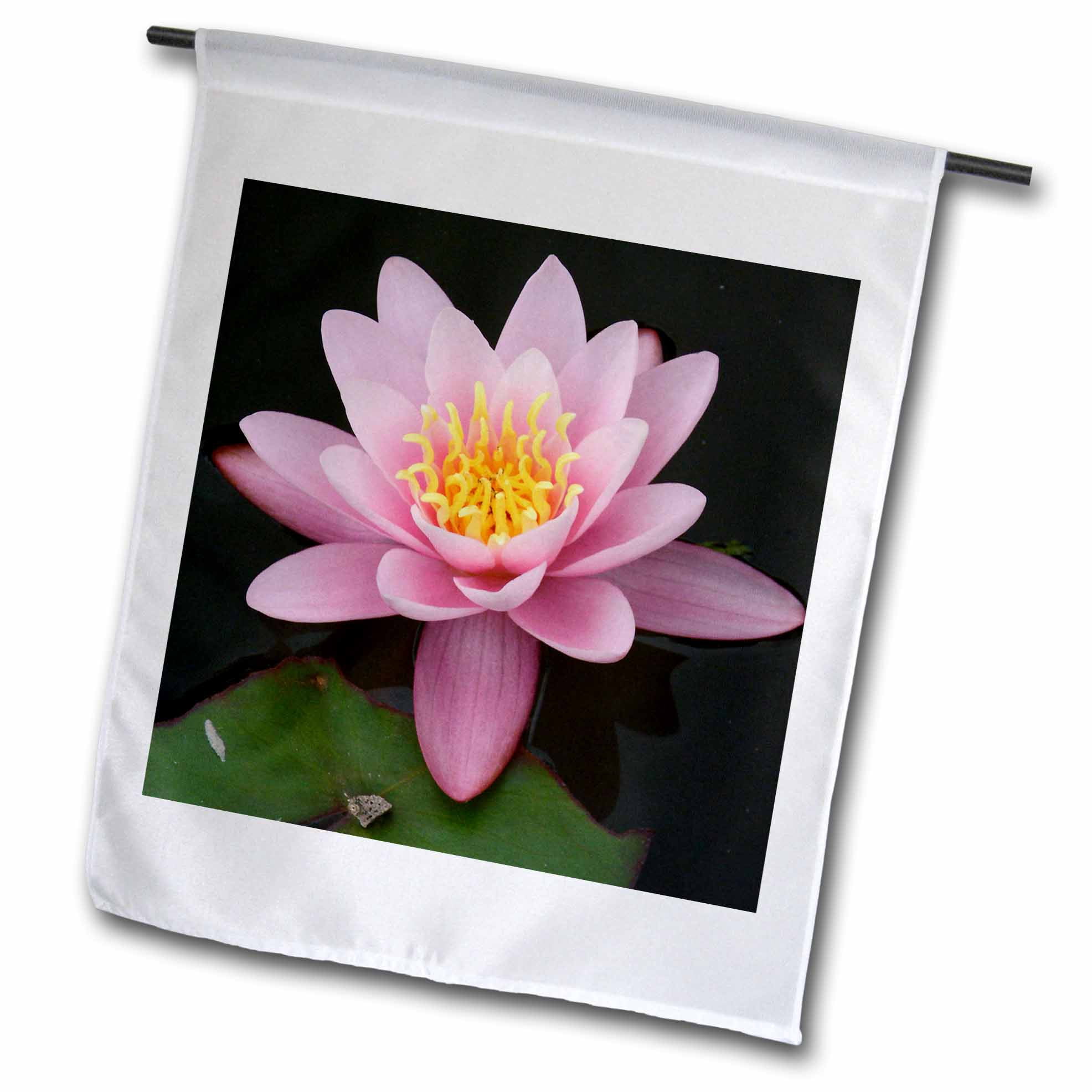3dRose, Pink Lotus Flower, 18 x 27 inch Garden Flag - Walmart Business ...