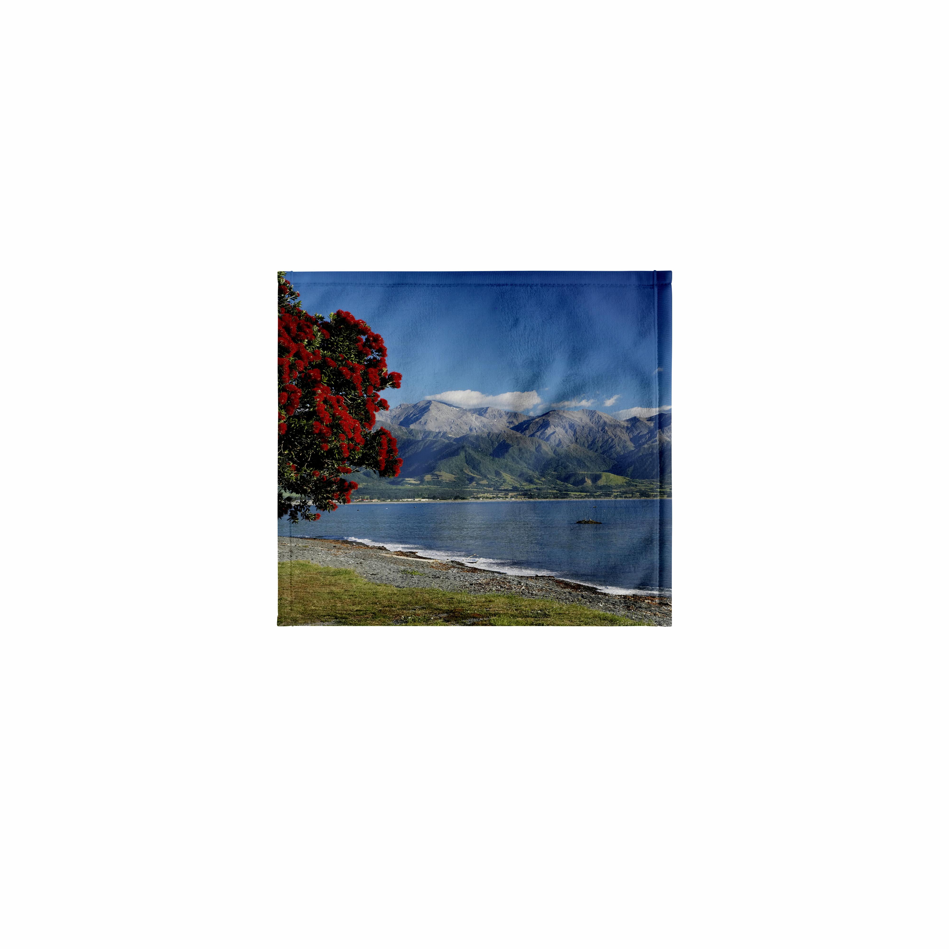 3dRose, Pohutukawa Tree, Marlborough, South Island, New Zealand-AU02 ...