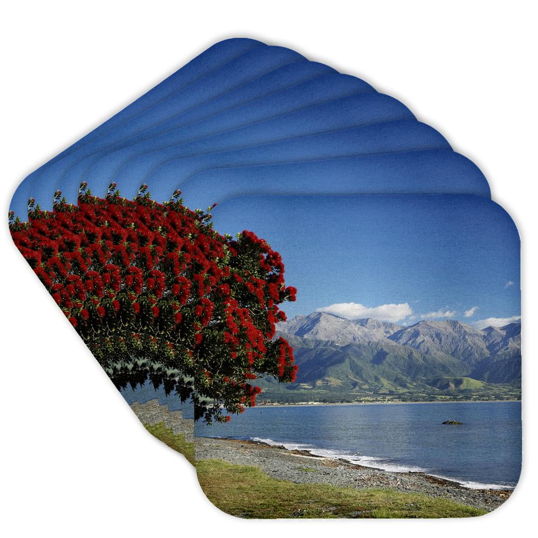 3dRose, Pohutukawa Tree, Marlborough, South Island, New Zealand-AU02 ...