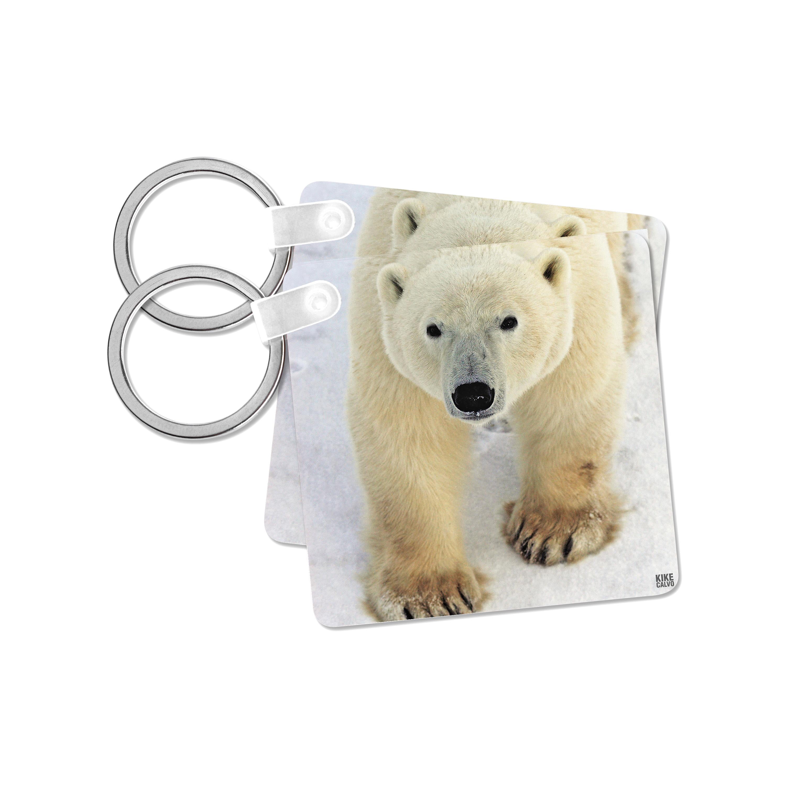 3dRose, Polar Bear Close-up, set of 2 Key Chains - Walmart.com
