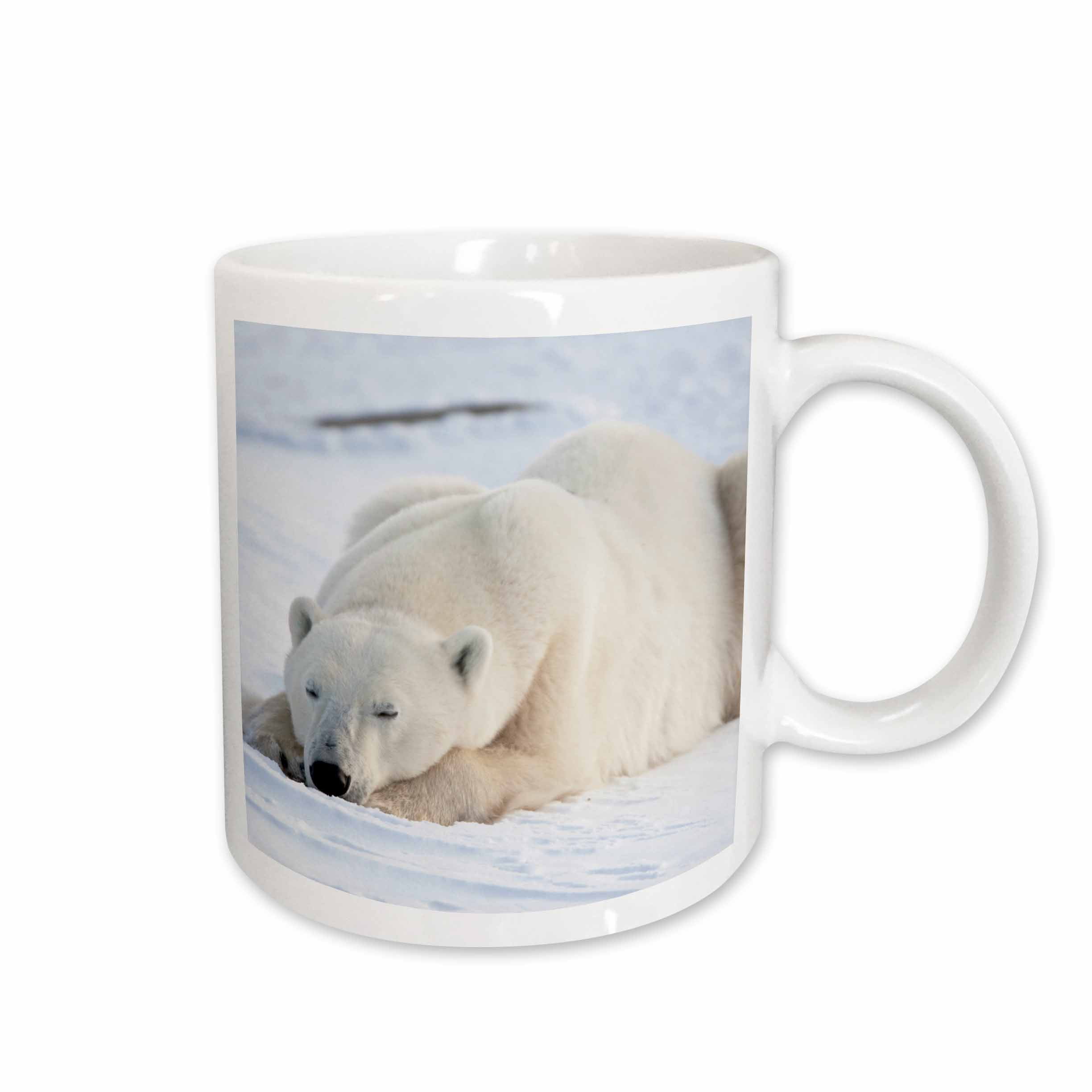 3drose, Polar Bear in Winter, Churchill Wildlife Area, Churchill, Mb ...