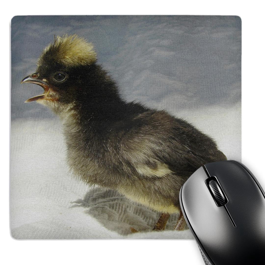3dRose, Polish Chick, MousePad - Walmart Business Supplies