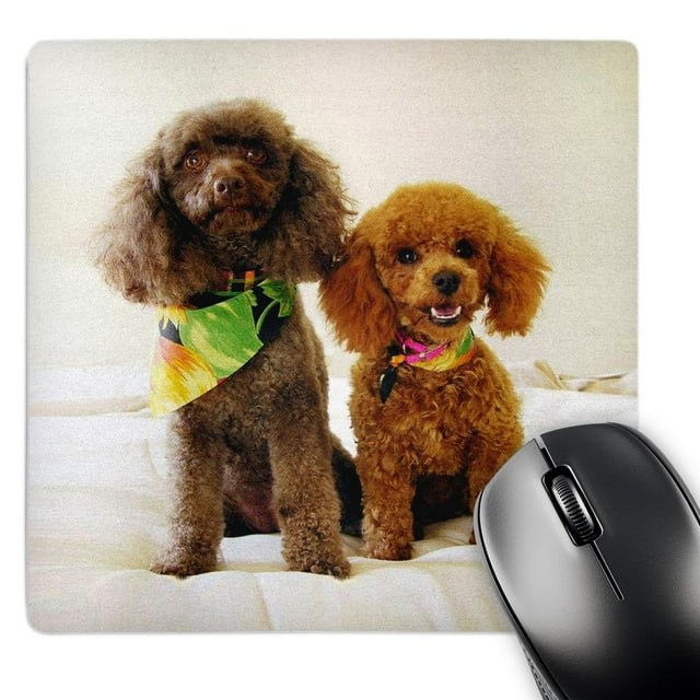 3dRose, Poodle Puppys, Mouse Pad - Walmart.com