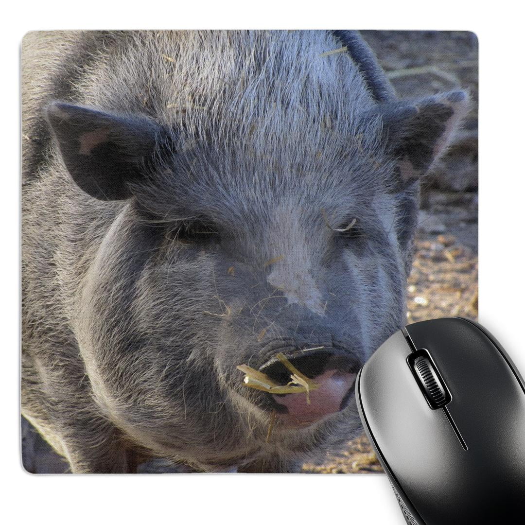 3dRose, Pot Belly Pig, Mouse Pad - Walmart.com