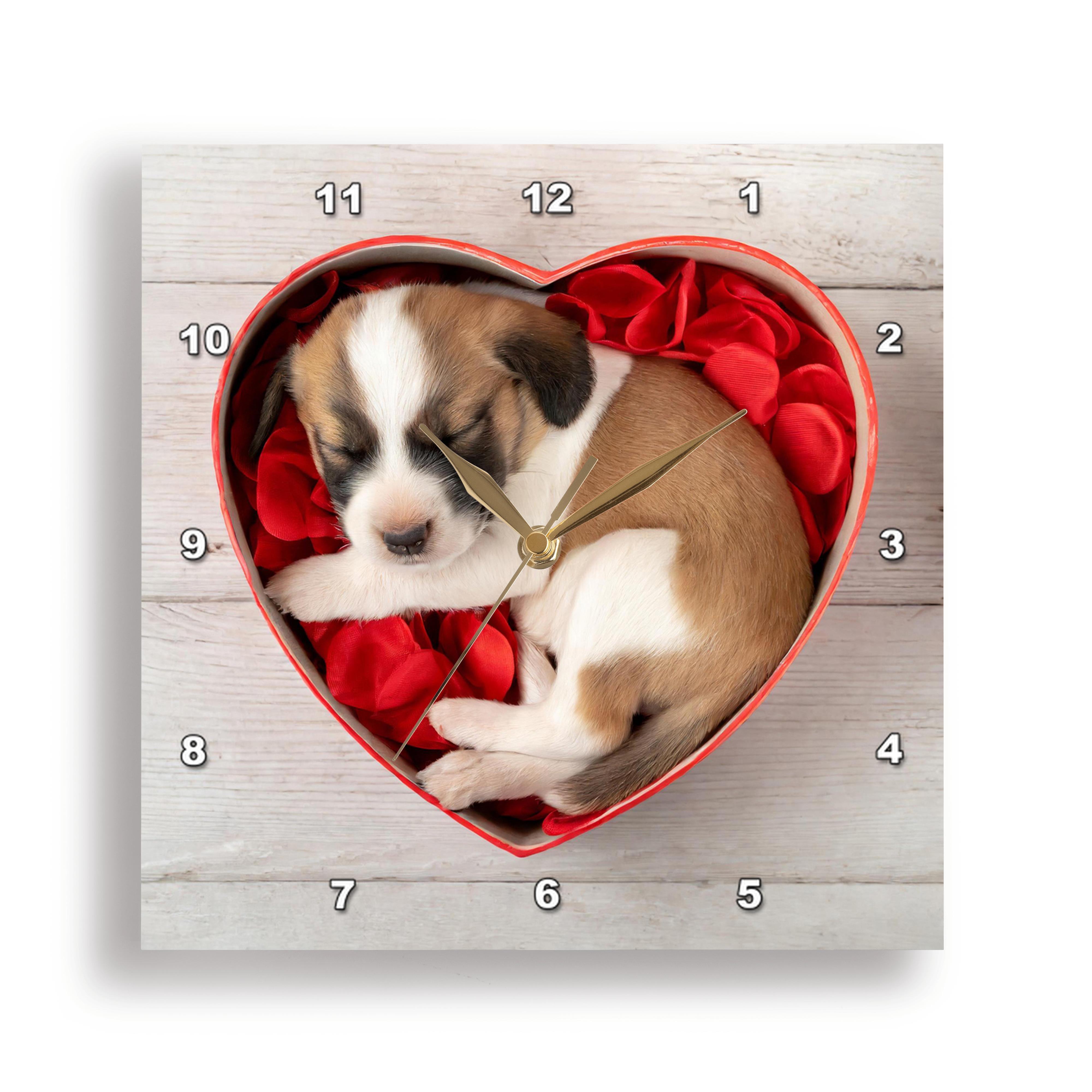 3dRose, Puppy Sleeping a Heart-Shaped Box, 13x13 Wall Clock - Walmart.com