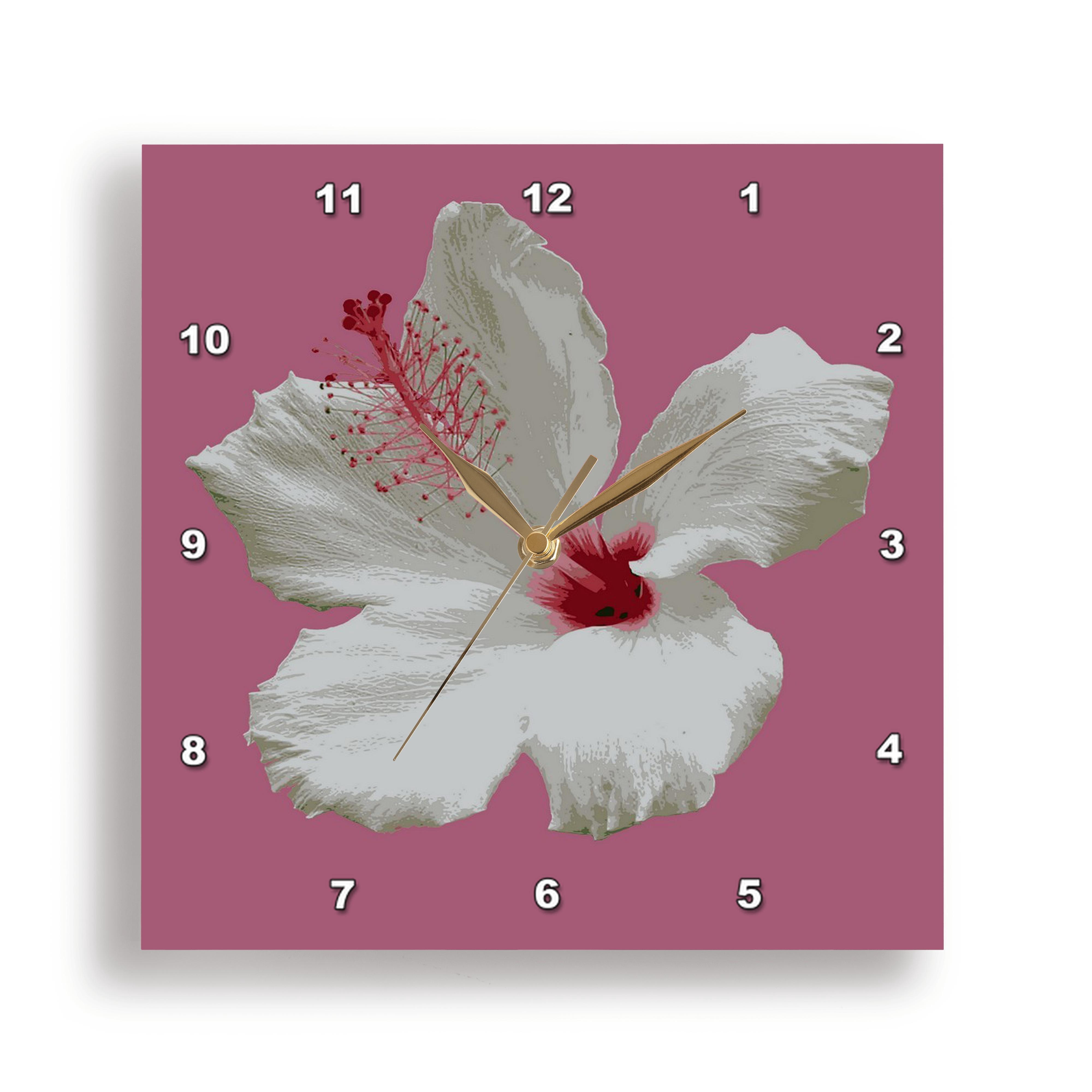 3dRose, Pure White Hibiscus Tropical Flower Vector, 13x13 Wall Clock ...