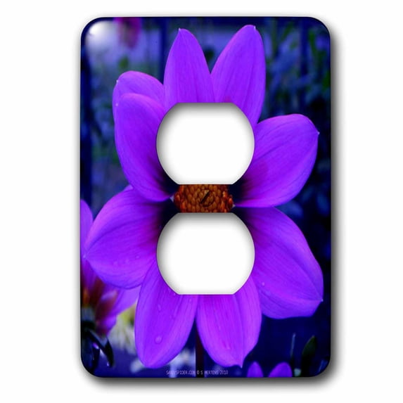 3dRose, Purple Cosmos Flower At Dusk, 2 plug outlet cover - Walmart.com