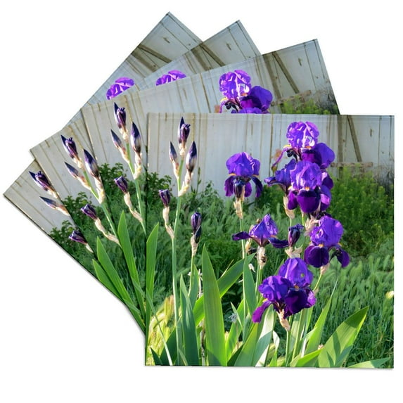 3drose, Purple Iris Sitting on a Green Flower Garden, Set of 4 Ceramic ...