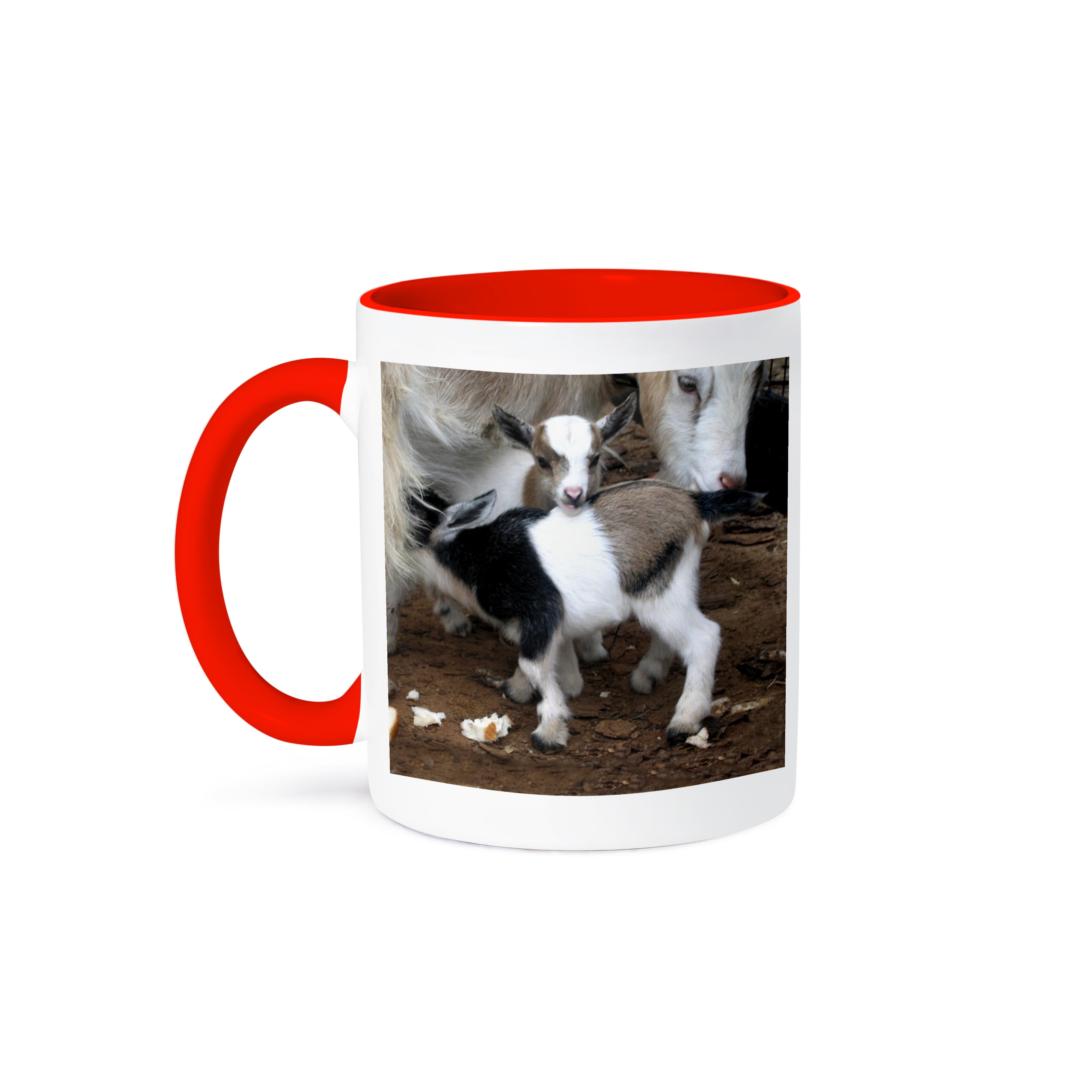 3dRose, Pygmy goat family, 11oz Two-Tone Red Mug - Walmart.com