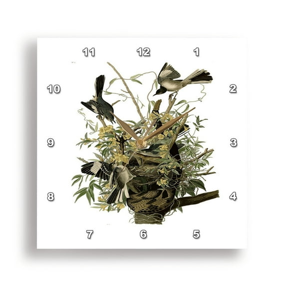 3dRose, Rattlesnake, Mockingbird and Jasmine Wildlife Botanical Illustration, 10x10 Wall Clock ...