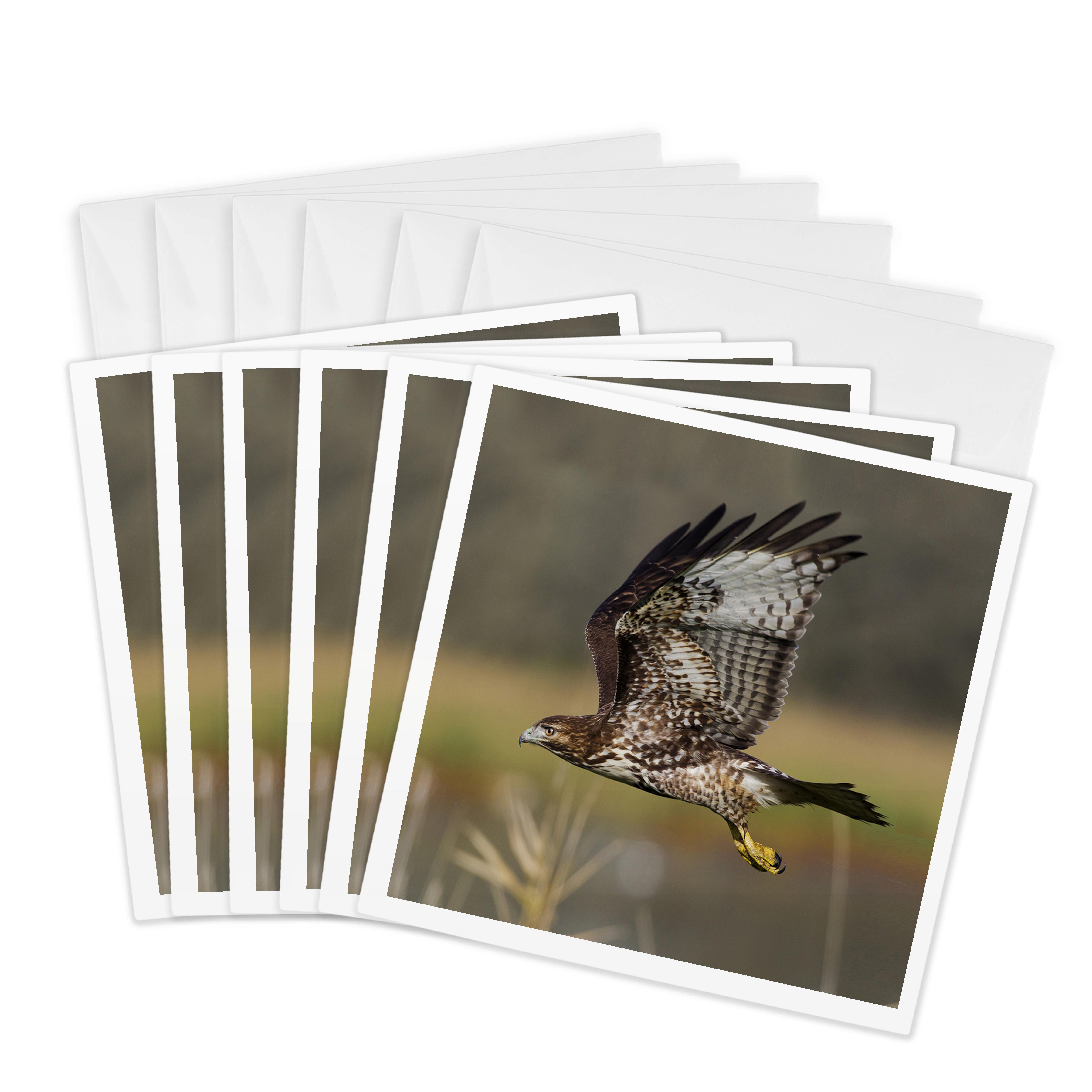 3drose, Red-tail Hawk, 6 Greeting Cards with Envelopes - Walmart.com