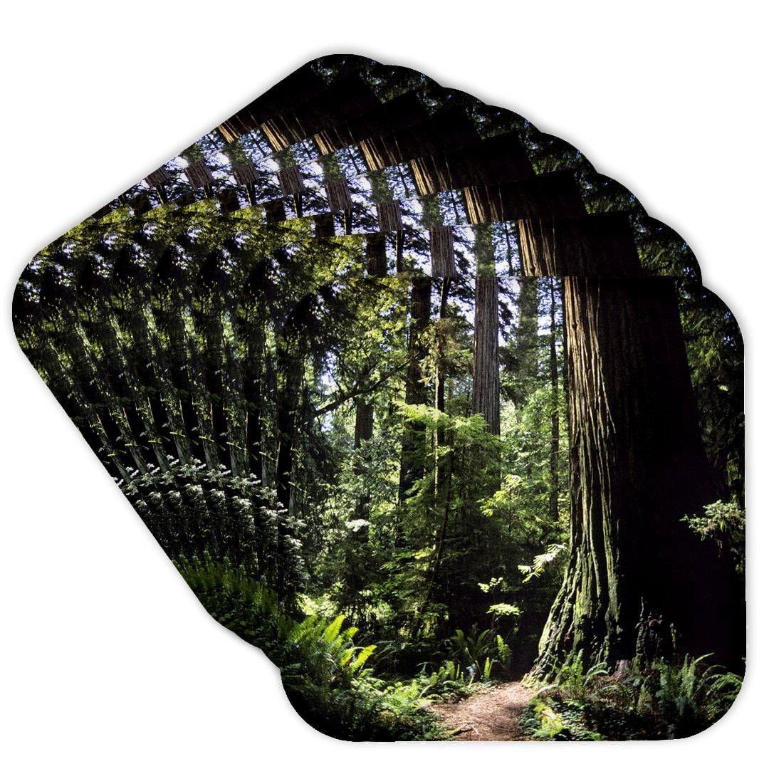 3dRose, Redwood forest in Northern California - US05 DFR0200 - David R ...