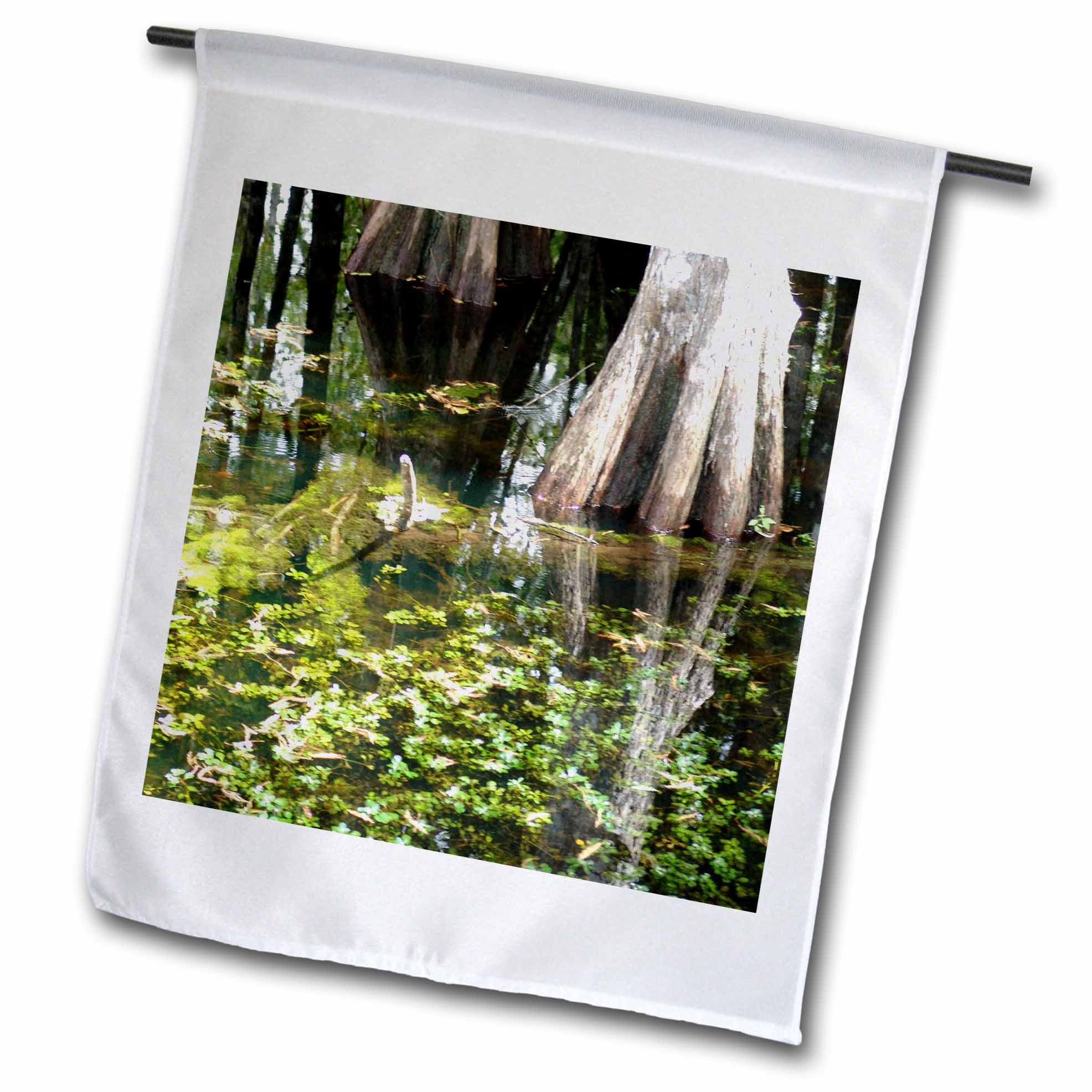 3dRose, Reflections In The Swamp, 12 x 18 inch Garden Flag - Walmart ...