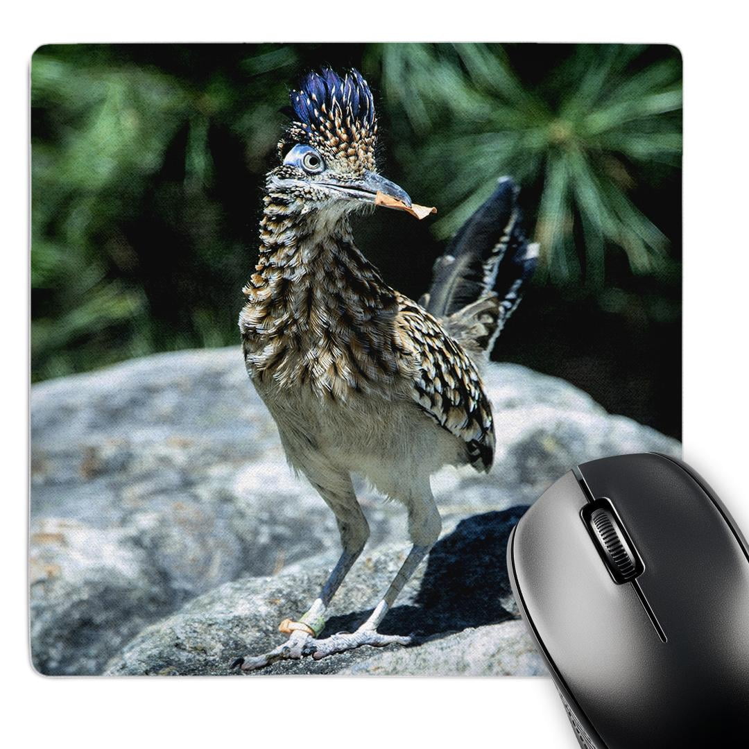 3dRose, Road Runner, Mouse Pad - Walmart.com