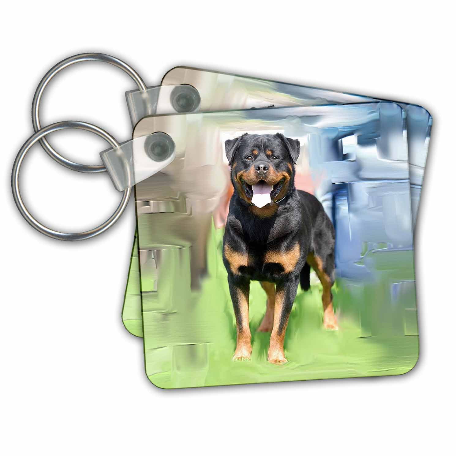 3dRose, Rottweiler, set of 2 Key Chains - Walmart.com