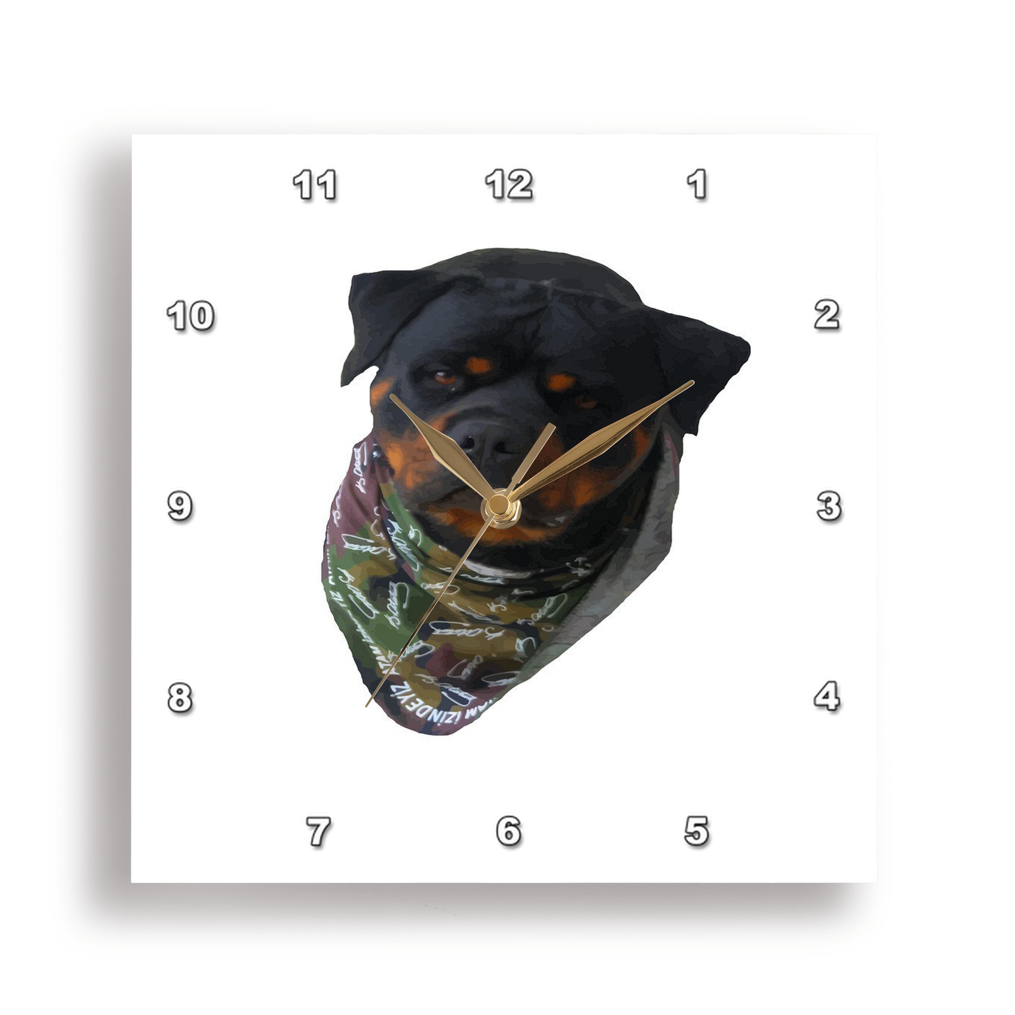3dRose, Rottweiler Wearing A Turkiye Dog Bandana, 13x13 Wall Clock ...