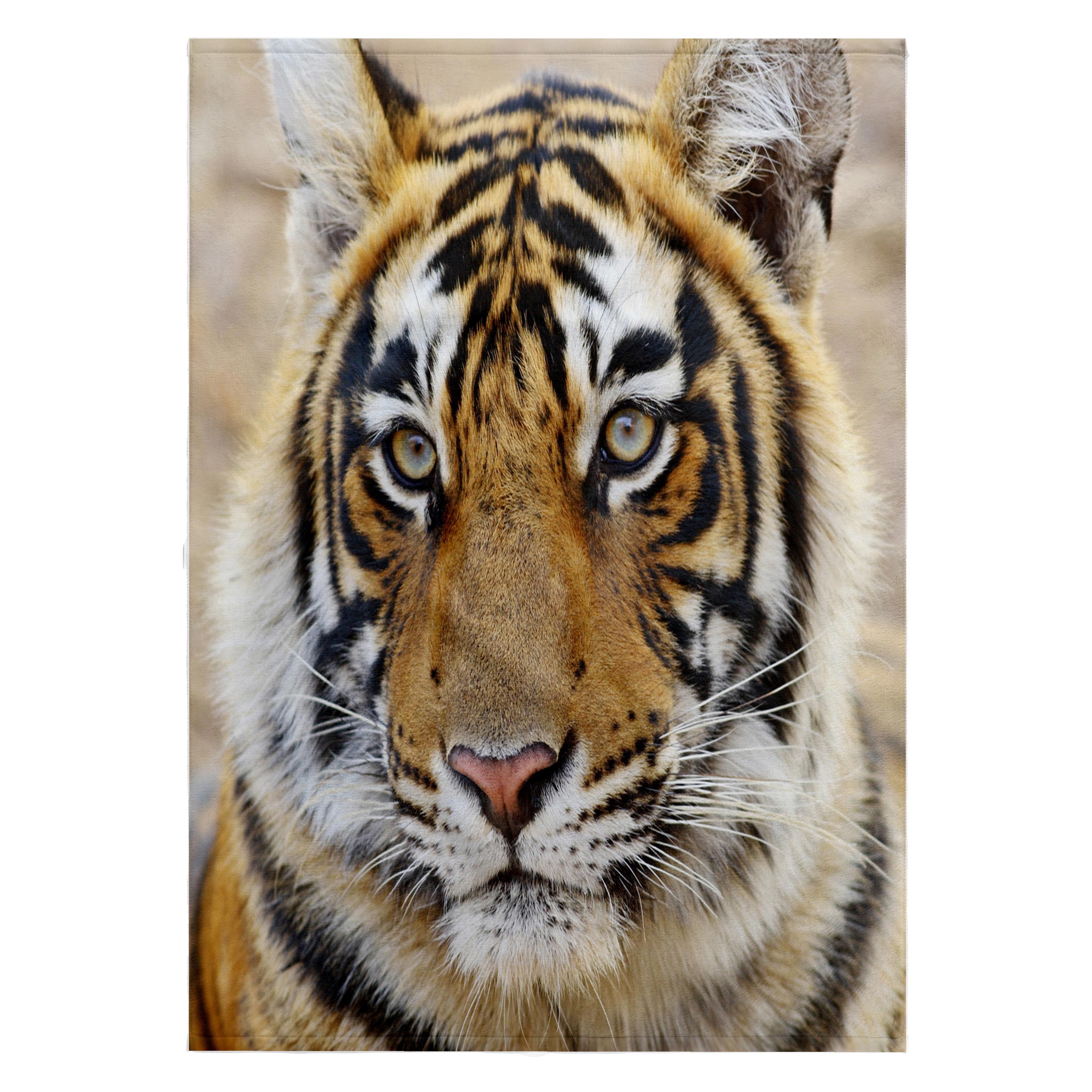 3dRose, Royal Bengal Tiger, Ranthambhor National Park, India-AS10 ...