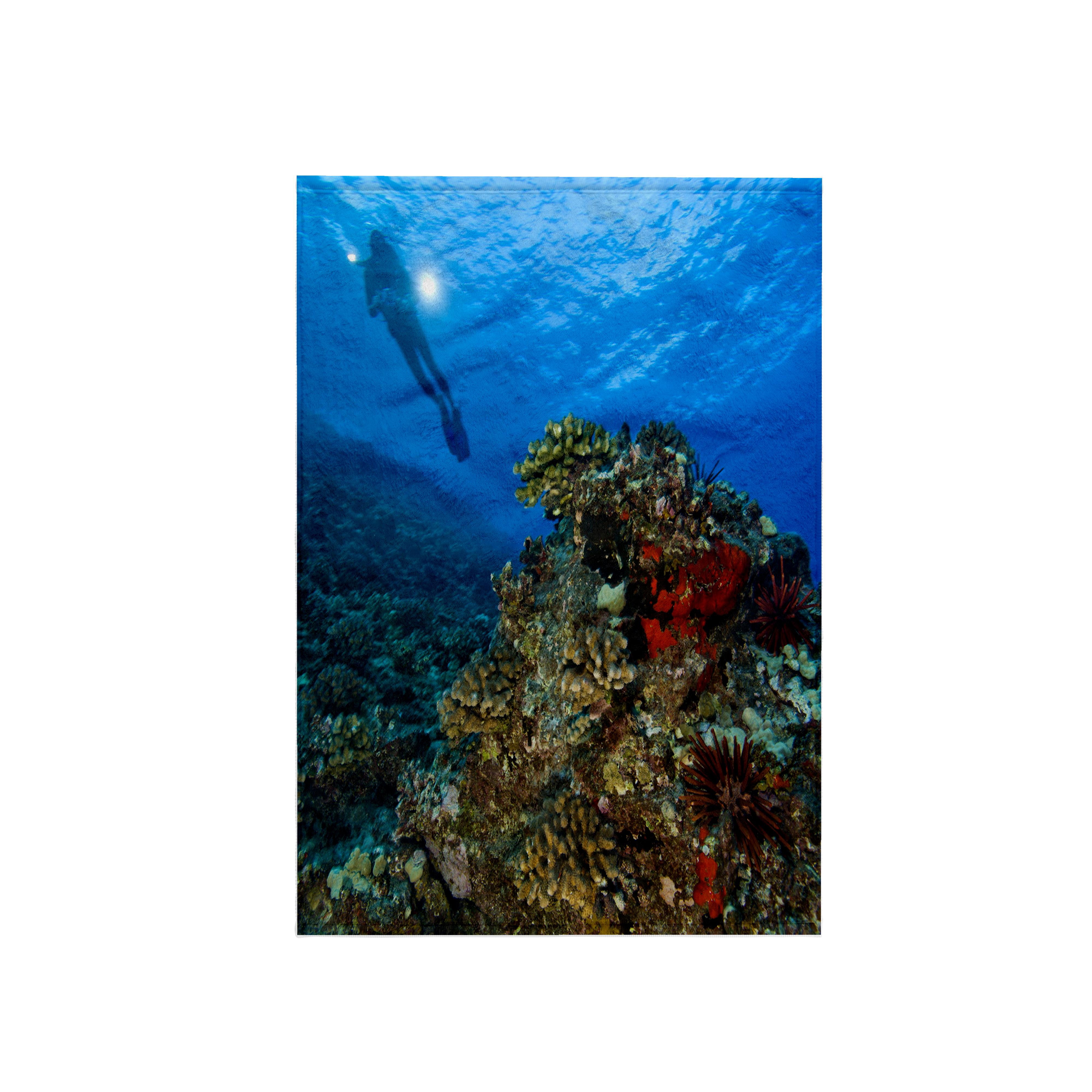 3dRose, Scuba divers, Molokini Crater, Maui, Hawaii - US12 SWS0128 ...