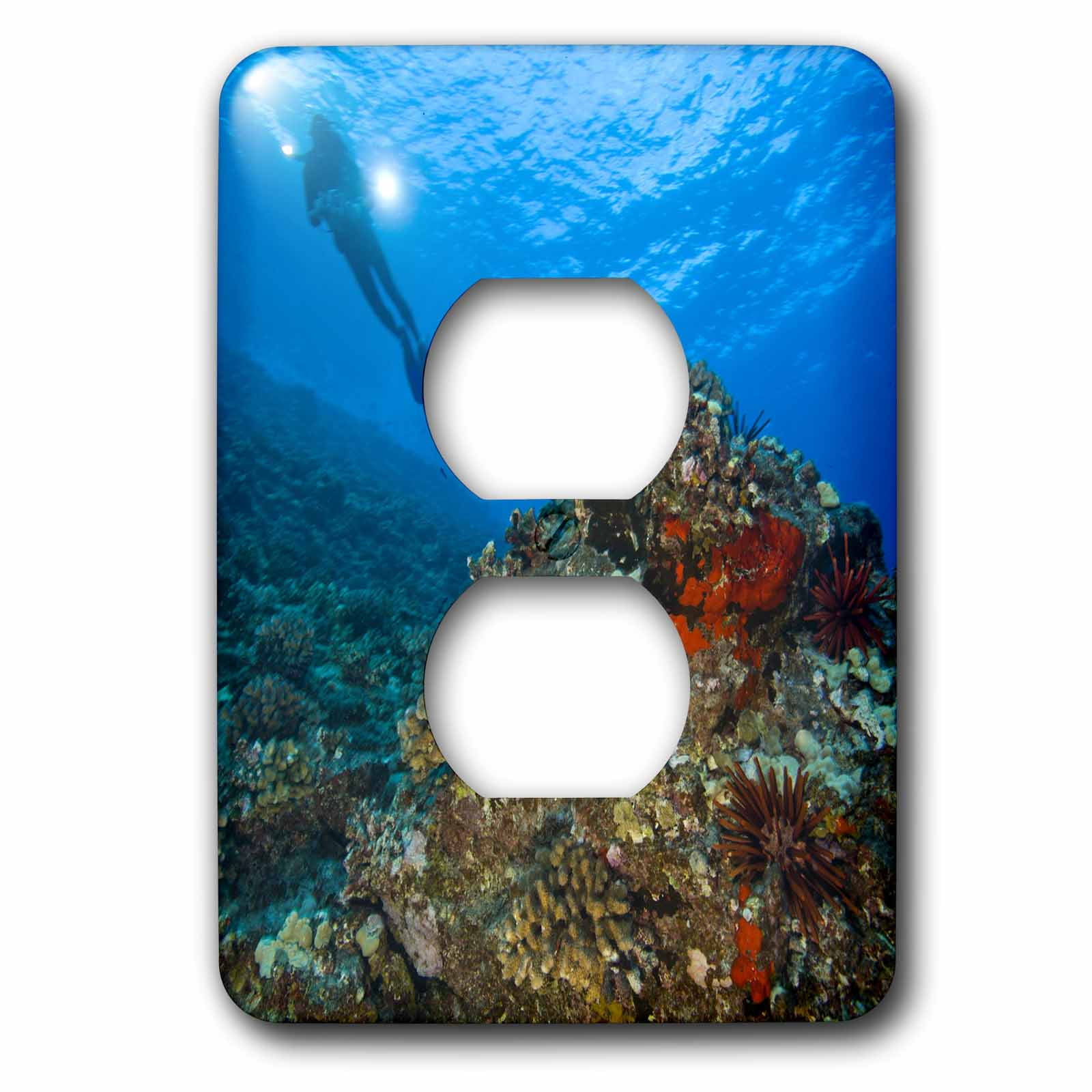 3dRose, Scuba divers, Molokini Crater, Maui, Hawaii - US12 SWS0128 ...