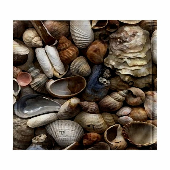 3dRose, Sea Shells, 11x12 Wash Cloth for Face and Body - Walmart.com