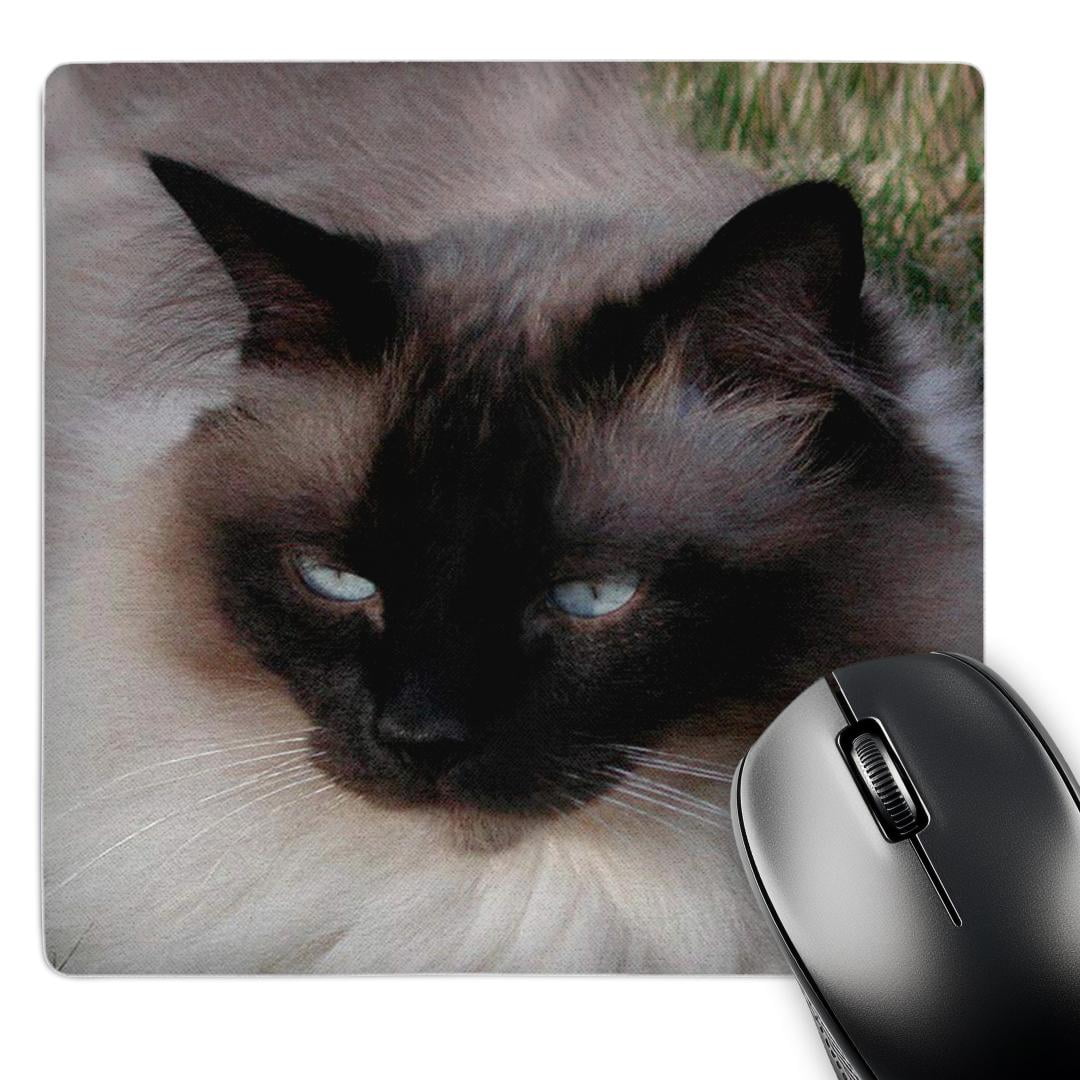 3dRose, Siamese Cat, MousePad - Walmart.com