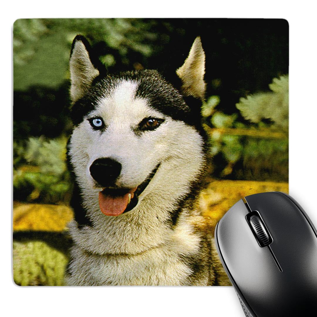 3dRose, Siberian Husky, Mouse Pad - Walmart.com