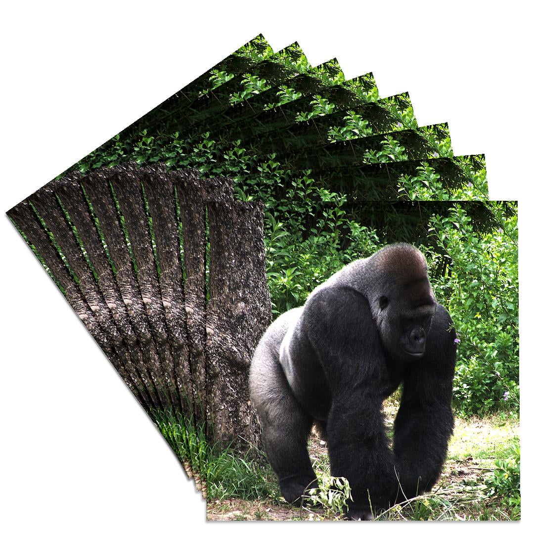 3dRose, Silverback Male Gorilla walking head down , Set of 8 Ceramic ...