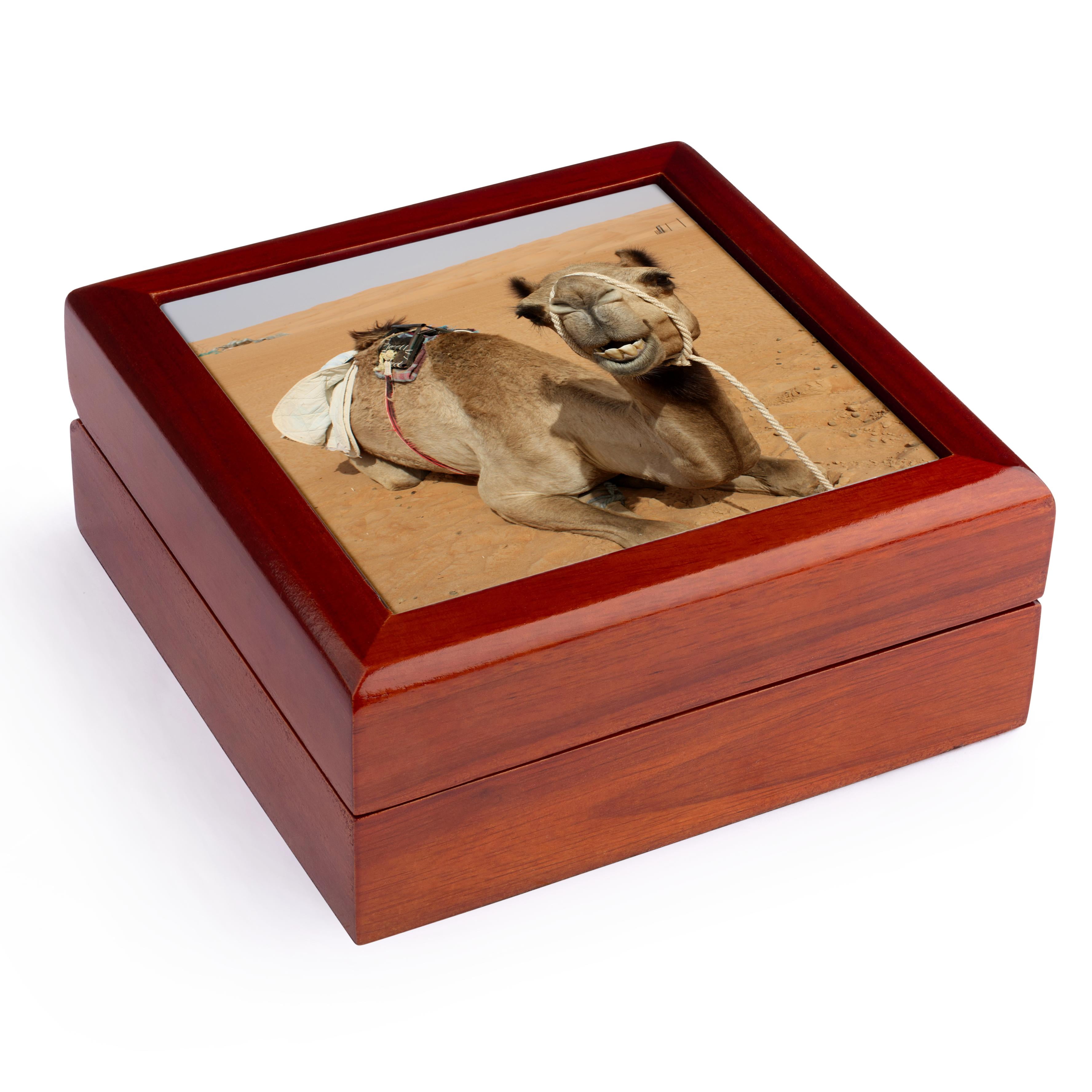 3dRose, Smiling Camel Resting at Bedouin Camp in Oman Photo by Rhonda ...