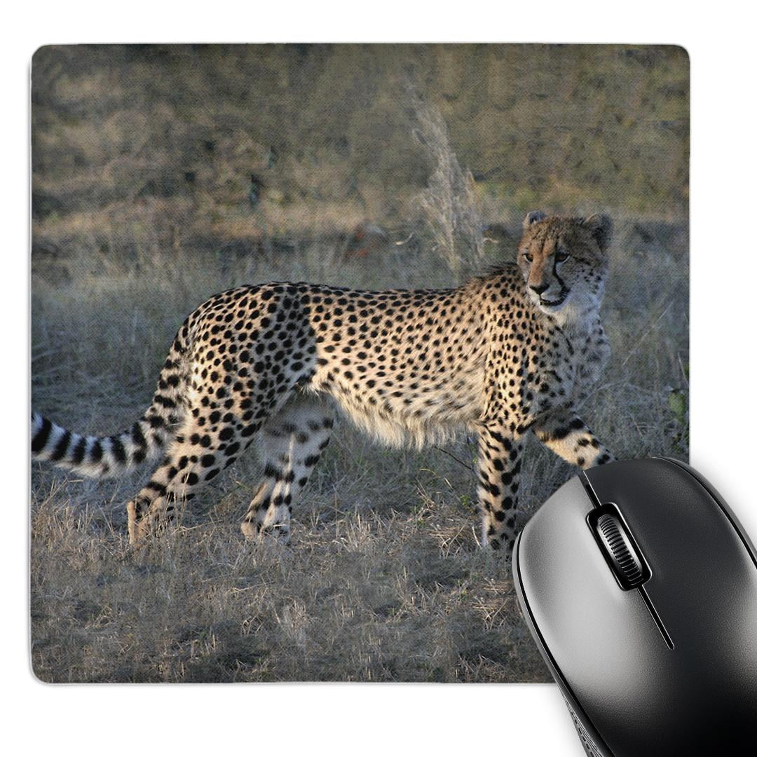 3dRose, South African Cheetah trotting side view, Mouse Pad - Walmart.com