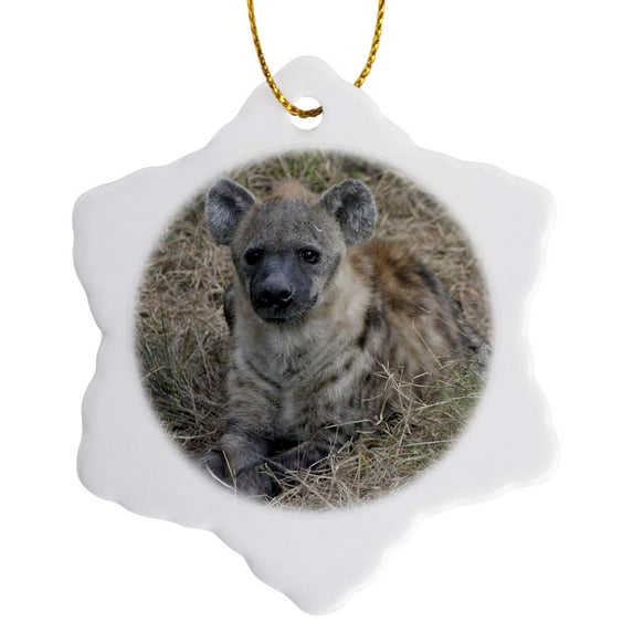 3dRose, South African Hyena front view, 3 inch Snowflake Porcelain ...