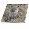 3dRose South African Hyena front view - Ceramic Tile, 6-inch - Walmart.com