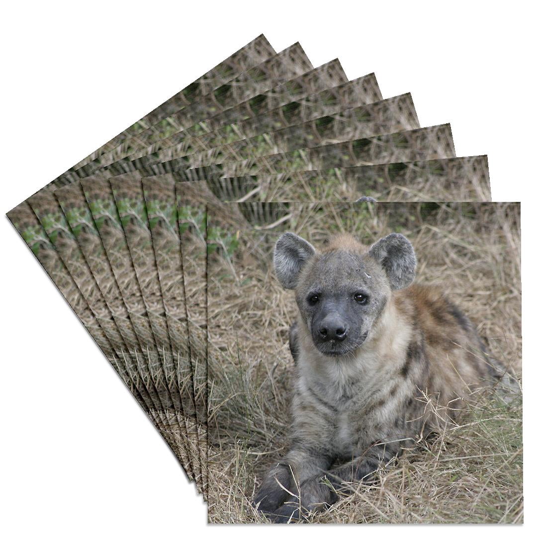 3drose, South African Hyena Front View, Set of 8 Ceramic Tile Coasters ...