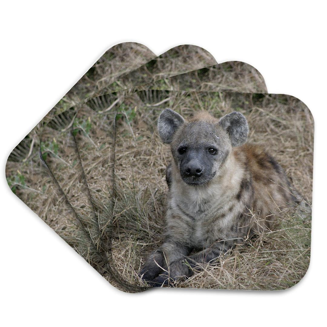3dRose, South African Hyena front view, Set of 4 Coasters - Soft ...