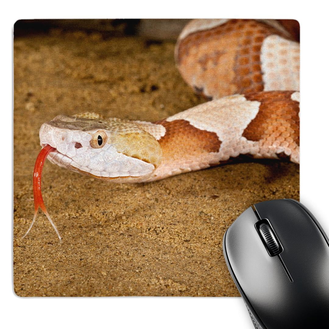 3dRose, Southern Copperhead snake, Southeastern US - NA02 DNO0893 ...