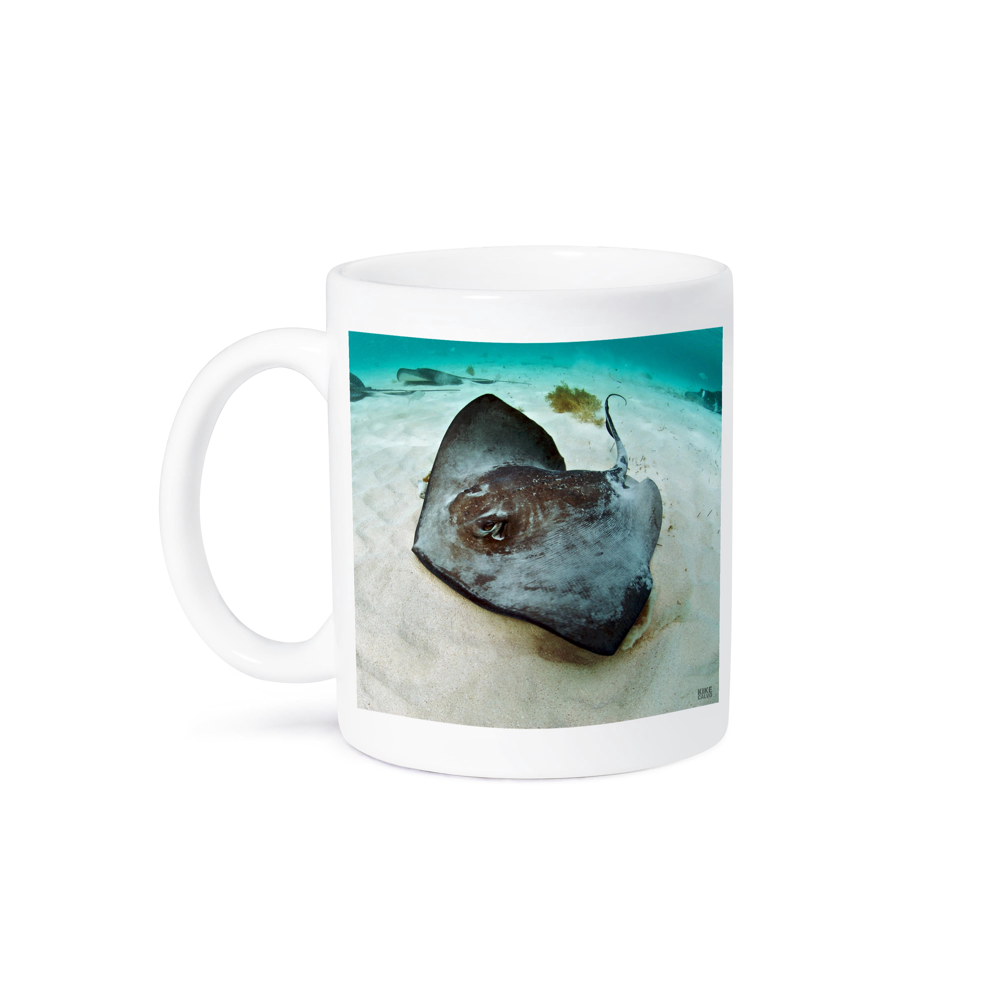 3dRose, Southern stingray (Dasyatis americana) in blue clean Caribbean ...