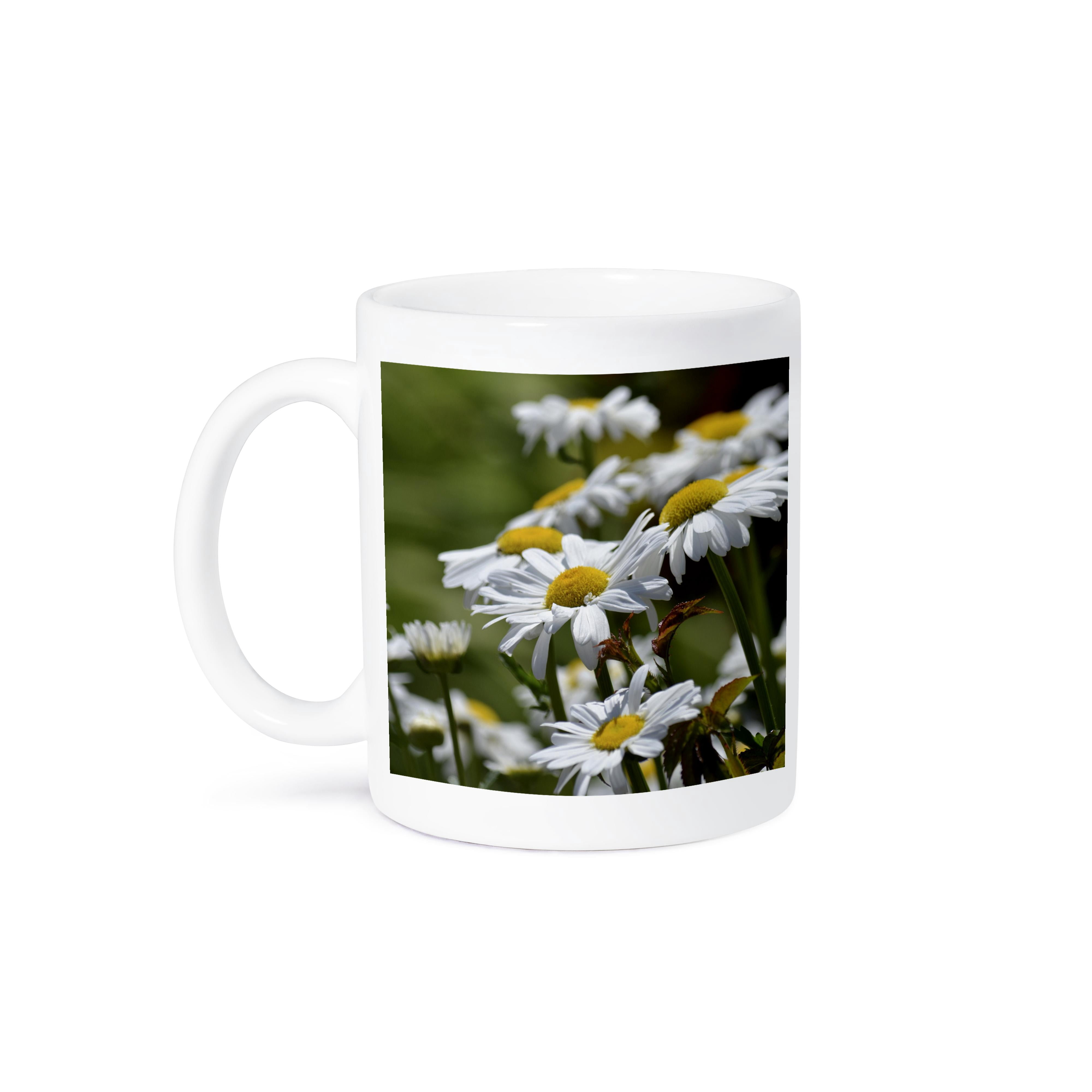 3dRose, Spring Daisies - White Flowers - Floral Print, 15oz Mug ...