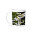 3dRose, Spring Daisies - White Flowers - Floral Print, 15oz Mug ...