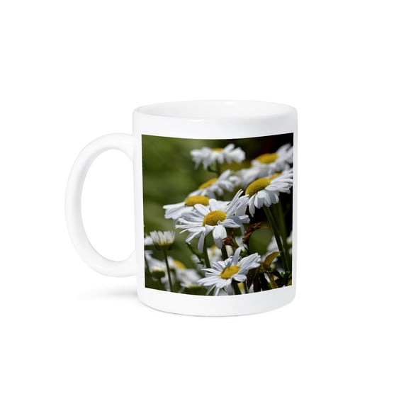 3dRose, Spring Daisies - White Flowers - Floral Print, 15oz Mug ...