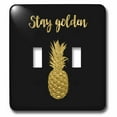 3dRose Stay Golden Typography And Pineapple - Double Toggle Switch ...