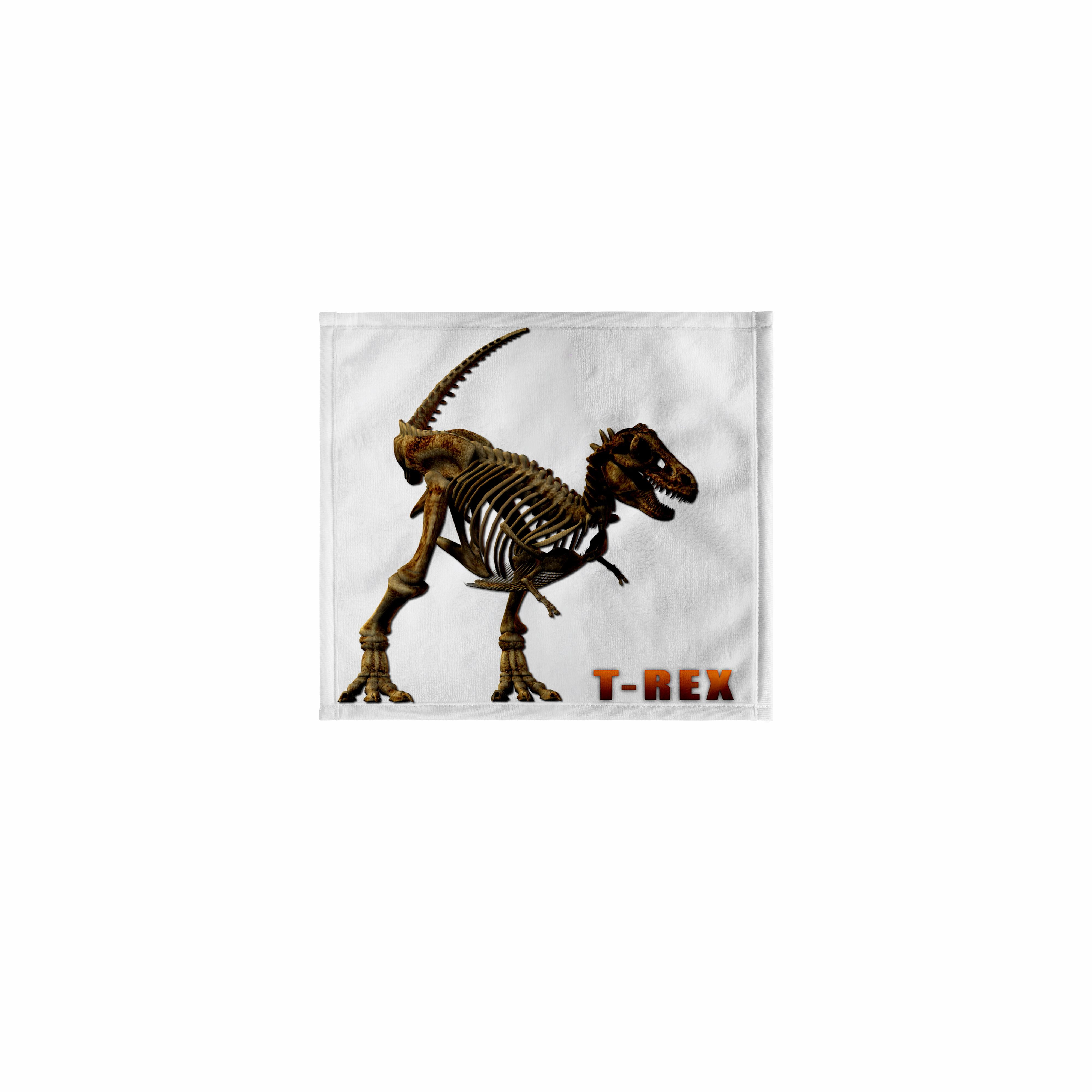 3dRose, T Rex Dinosaur, 11x12 Wash Cloth for Face and Body - Walmart.com
